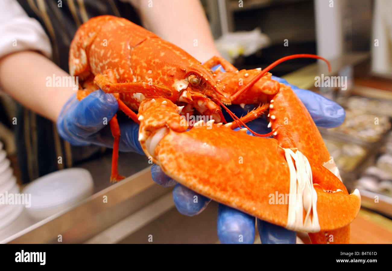 A fishmonger pictured with a Lobster at the fish stall at Cardiff ...