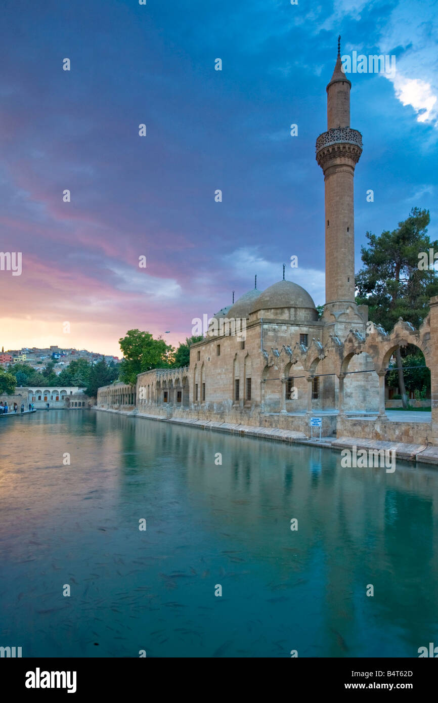 Turkey, Eastern Turkey, Sanliurfa (Urfa), Golbasi, Balikli Gol ...