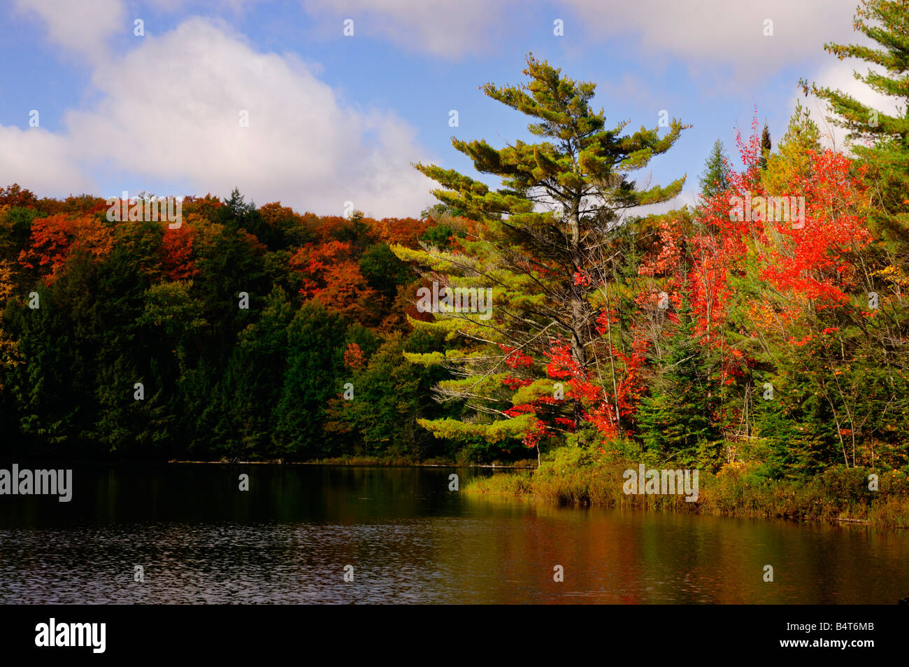 Autumn in Ontario Stock Photo - Alamy