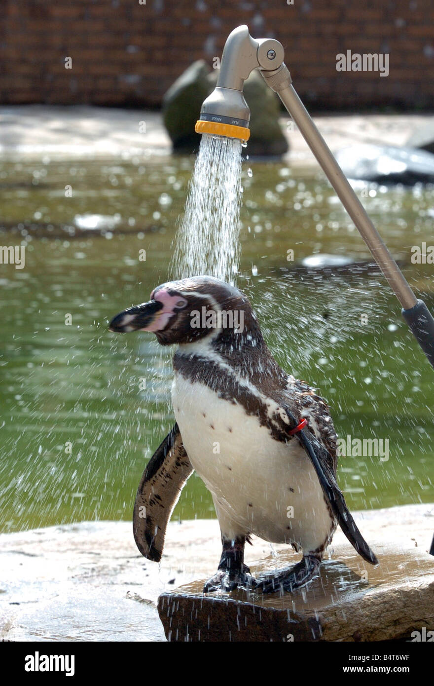 Cold temperture hi-res stock photography and images - Alamy