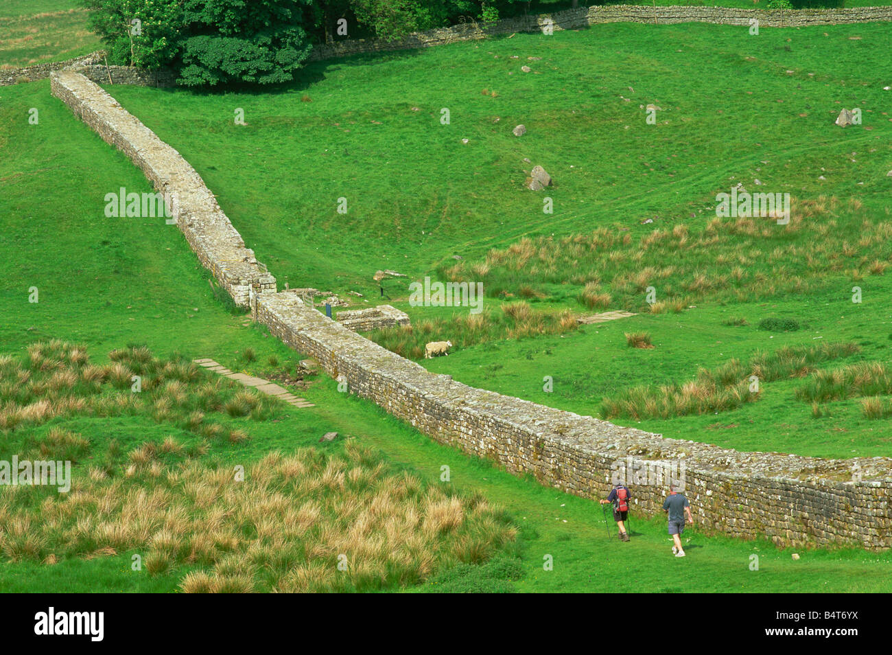 England, Northumbria, Hadrian's Wall, Views near Housesteads Roman Fort ...
