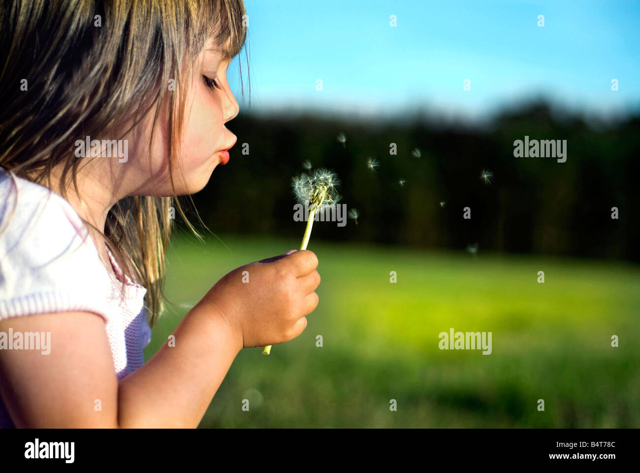 a little cute girl, child blowing dandelion on a meadow Stock Photo - Alamy