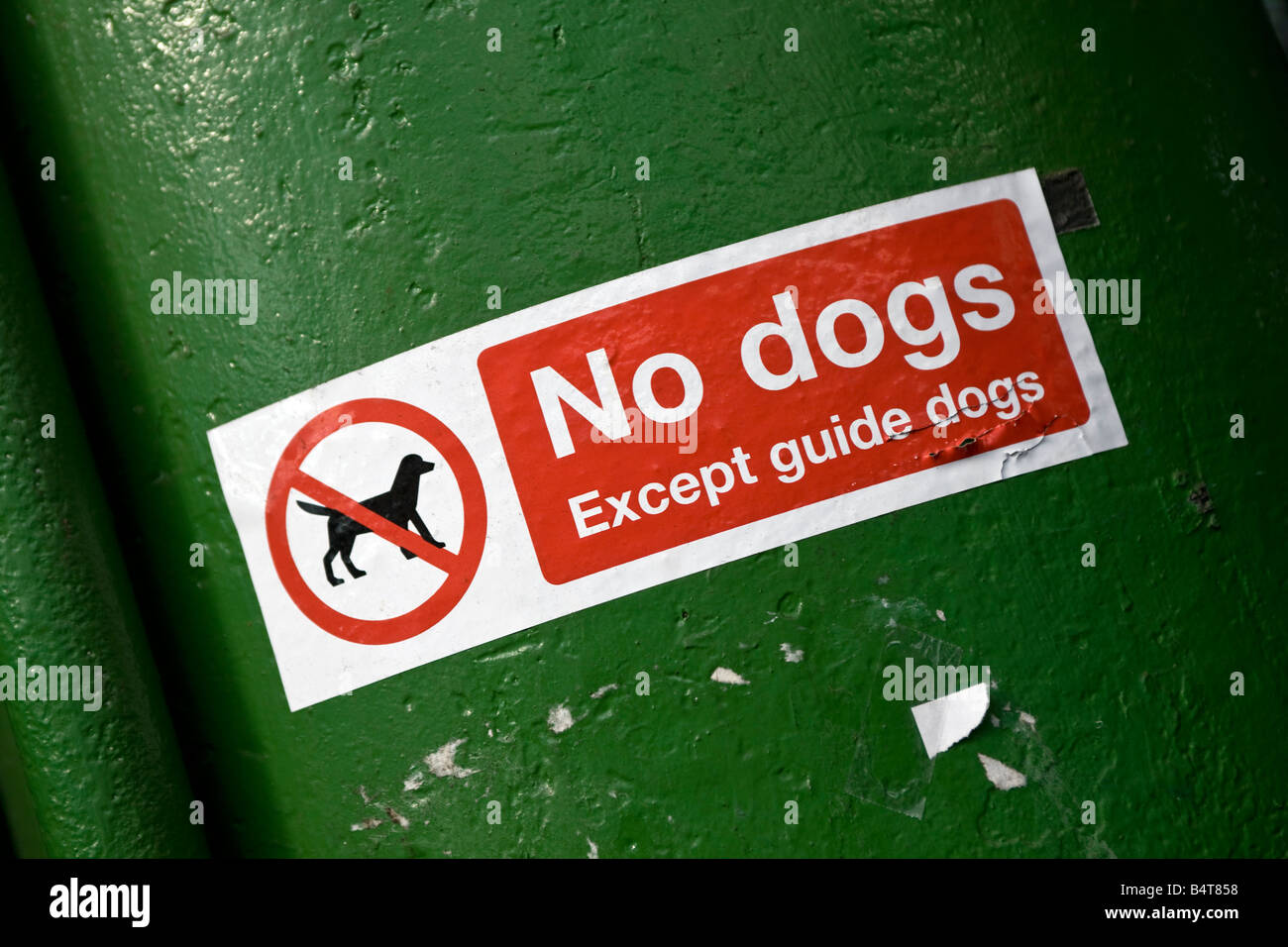 No Dogs Sign Stock Photo - Alamy