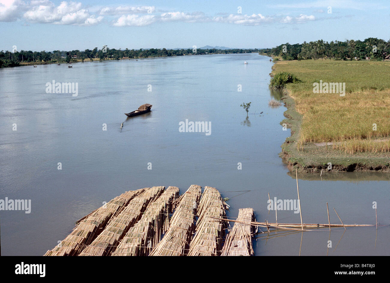 A raft loaded with bamboo on Halda river, nr Chittagong, SE Bangladesh ...