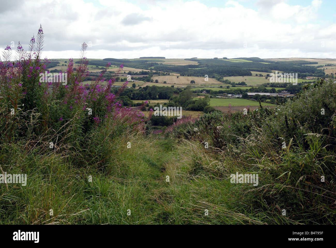 Bearpark durham hi-res stock photography and images - Alamy
