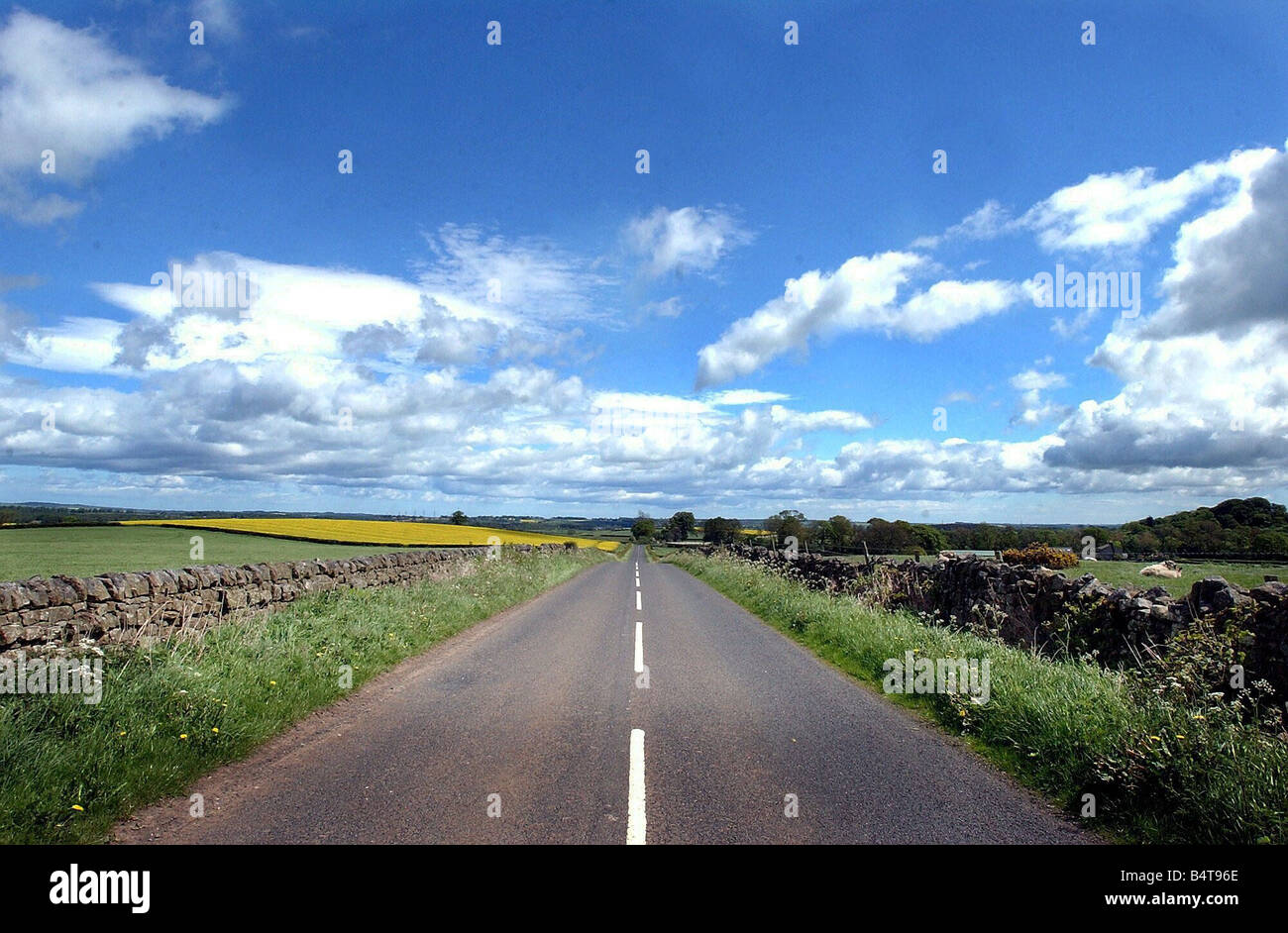Views of the road to Ingoe from Belsay taken on a sunny monring showing ...