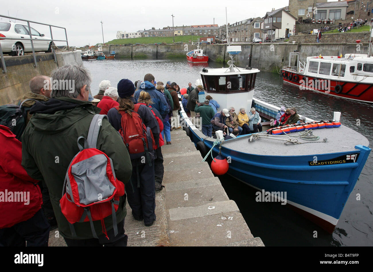 A boat trip to the bird sanctuary on the Farne Islands on the ferry the ...