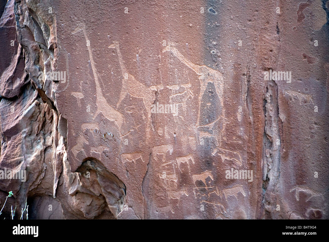 Rock art petroglyphs in Twyfelfontein area in Damaraland Namibia Stock ...