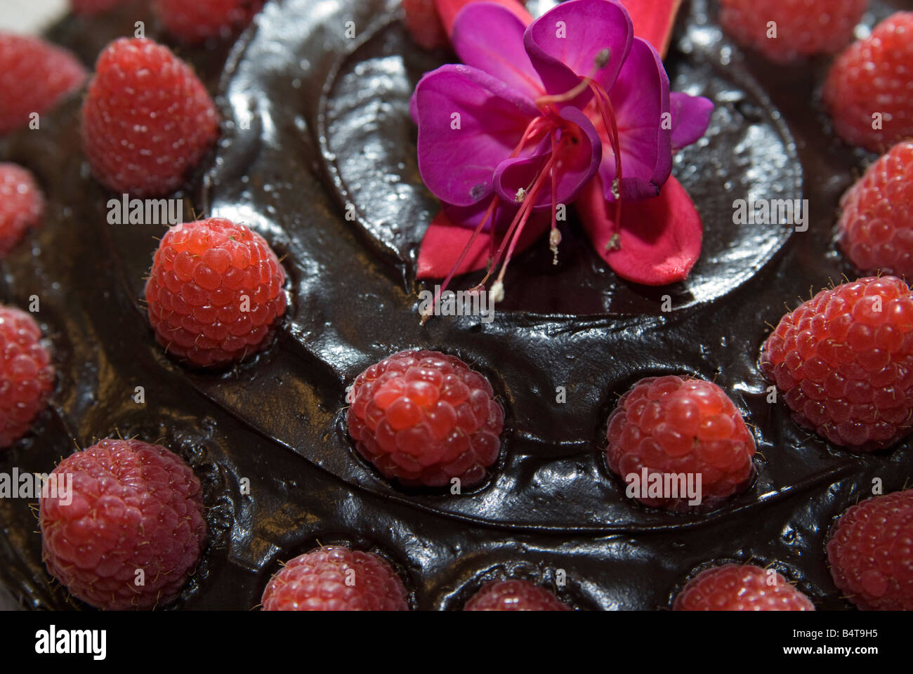 Shiny icing cake hi-res stock photography and images - Alamy