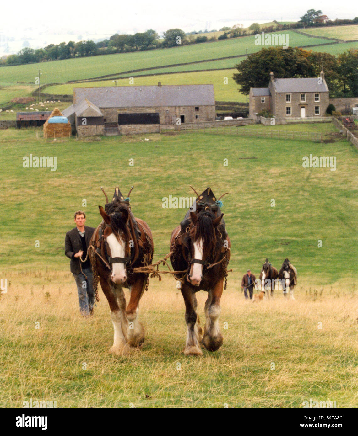 Horses being trained hi-res stock photography and images - Alamy