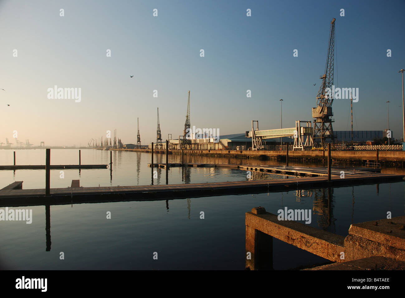 Cranes on Western Docks , Southampton water Stock Photo - Alamy