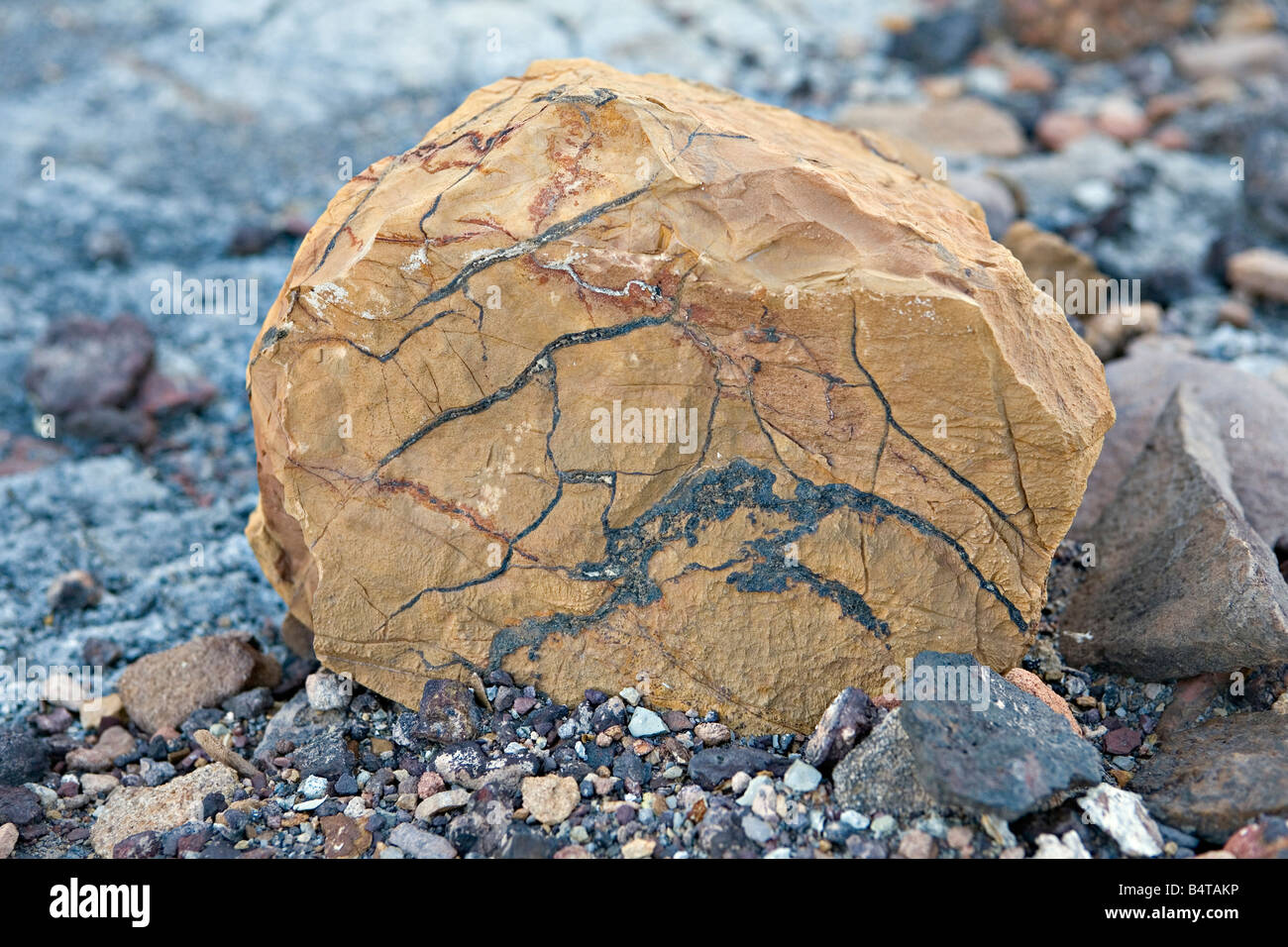 The Burnt Mountain rock specimen in Twyfelfontein Damaraland Namibia ...