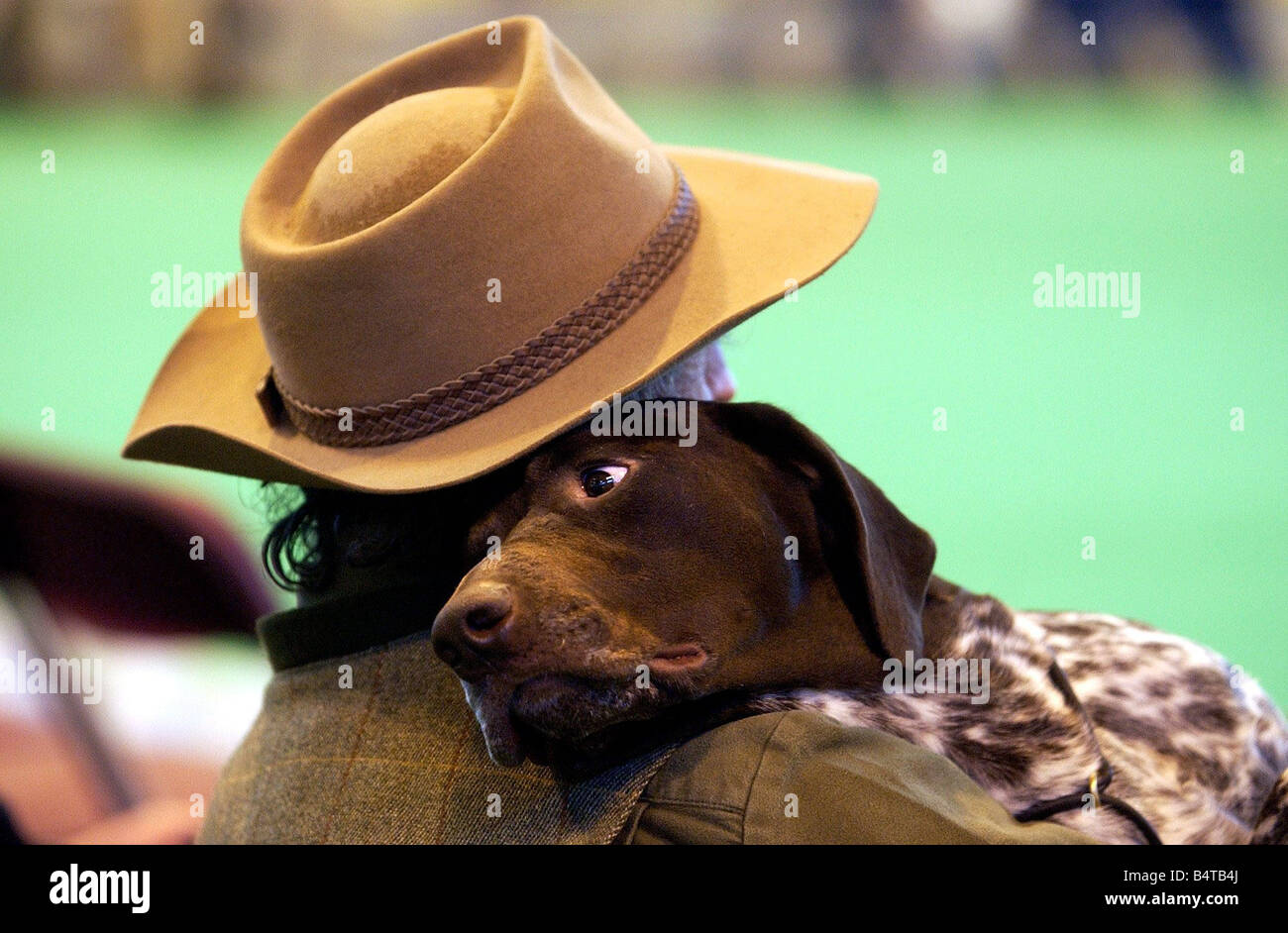 Gamekeepers dog hi-res stock photography and images - Alamy
