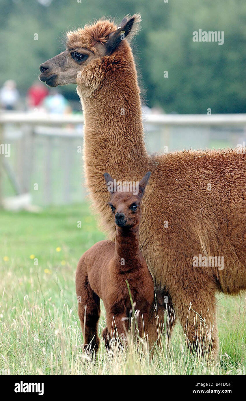 Warren mill hi-res stock photography and images - Alamy