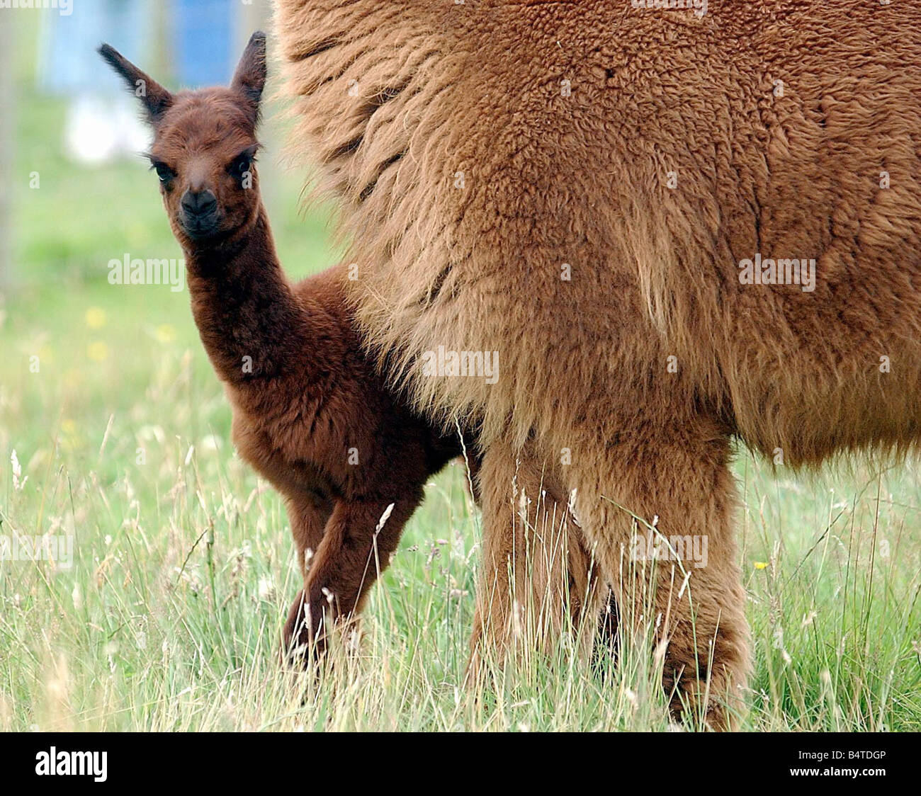 Warren mill hi-res stock photography and images - Alamy