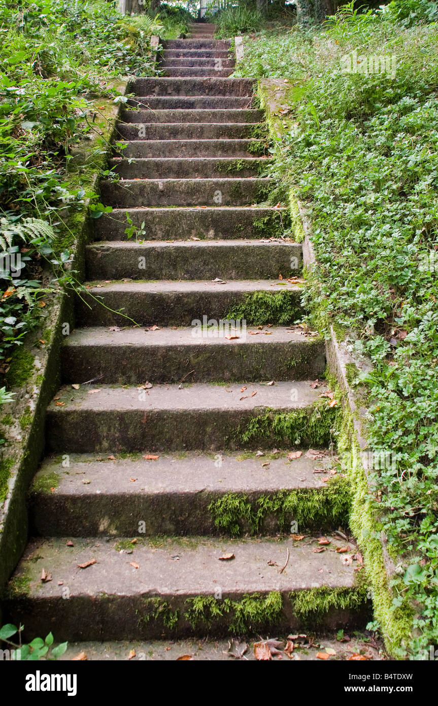Step Moss Stock Photos & Step Moss Stock Images - Alamy