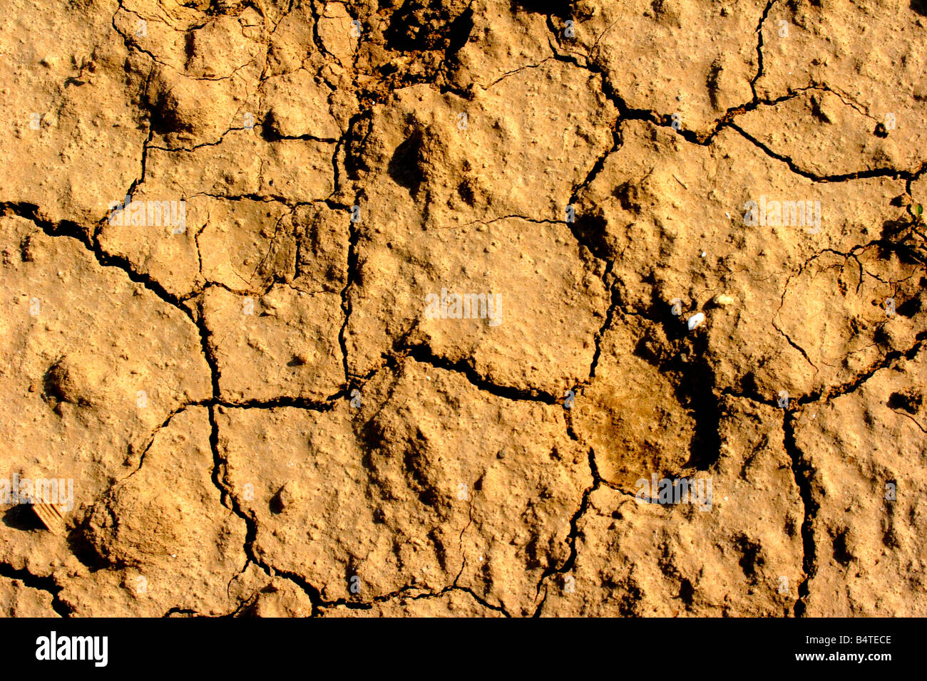Drought parched sun dried cracked earth soil drought hi-res stock ...