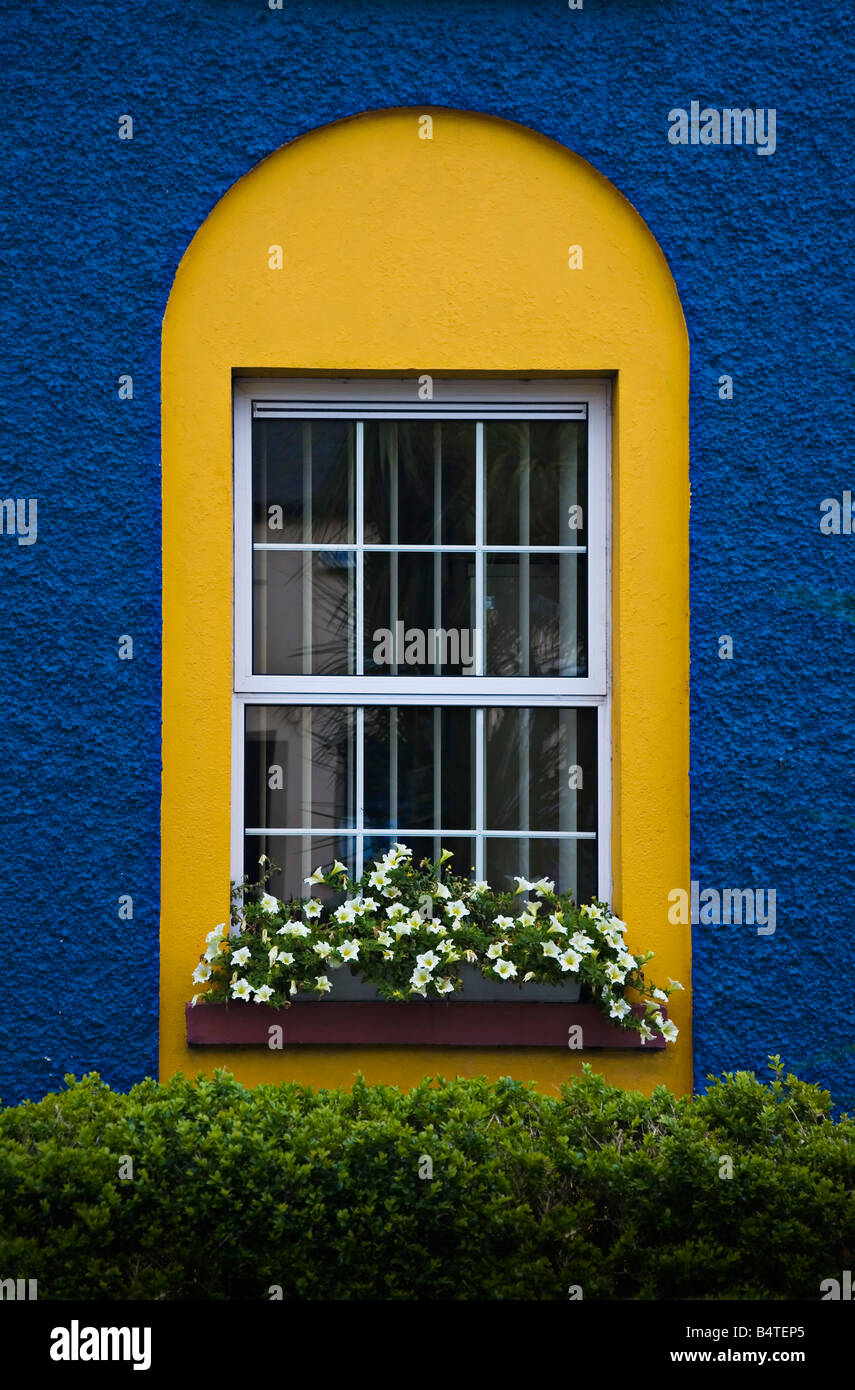 Window Flowers West Cork Ireland Stock Photo - Alamy