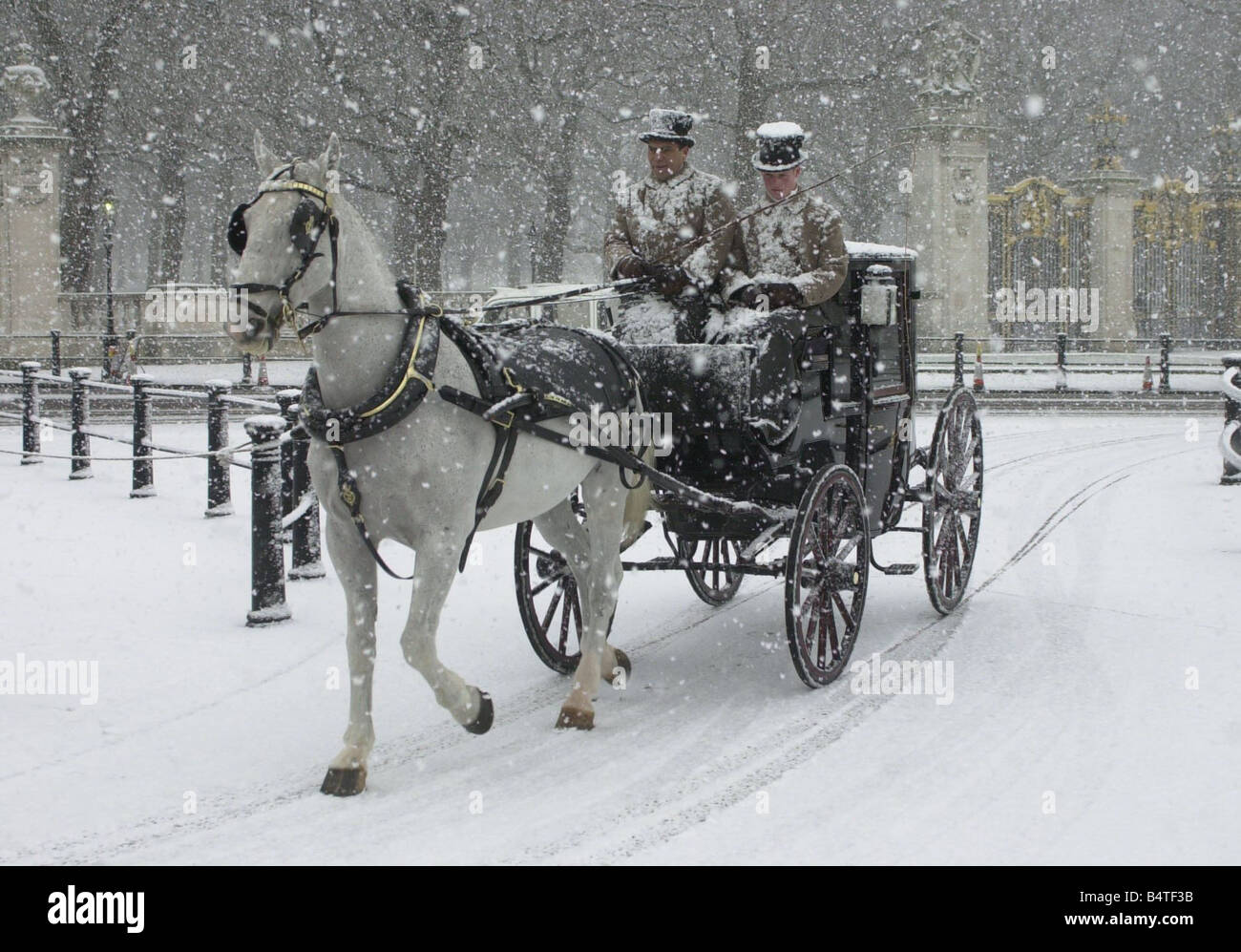 Horse Drawn Carriage In Snow