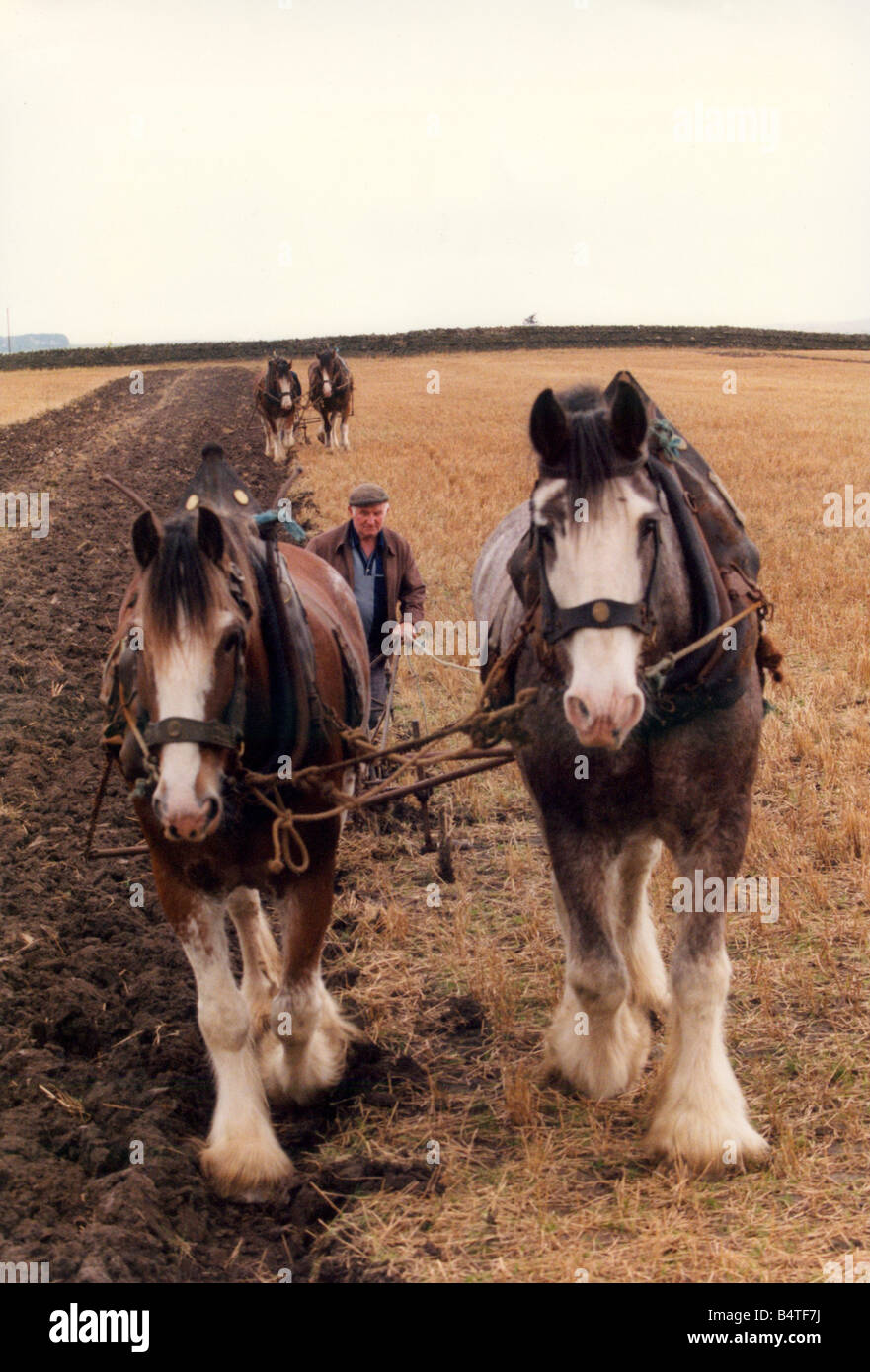1990s ploughing hi-res stock photography and images - Alamy