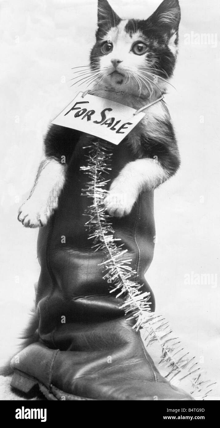 Sign sale Black and White Stock Photos & Images - Alamy