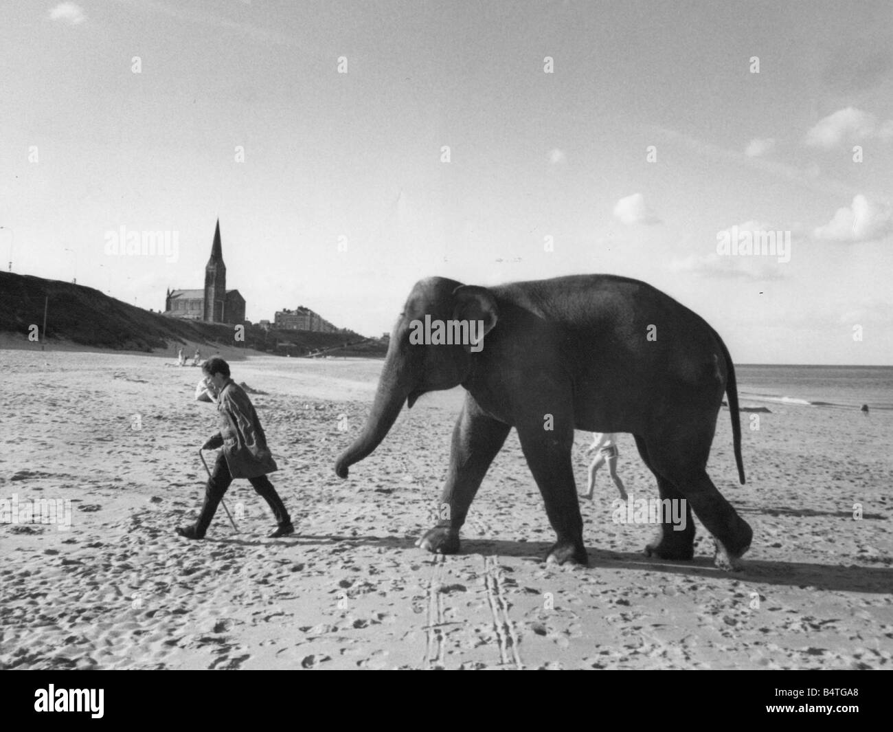 Robert Raven walks an elephant on the beach at Tynemouth from Gerry ...
