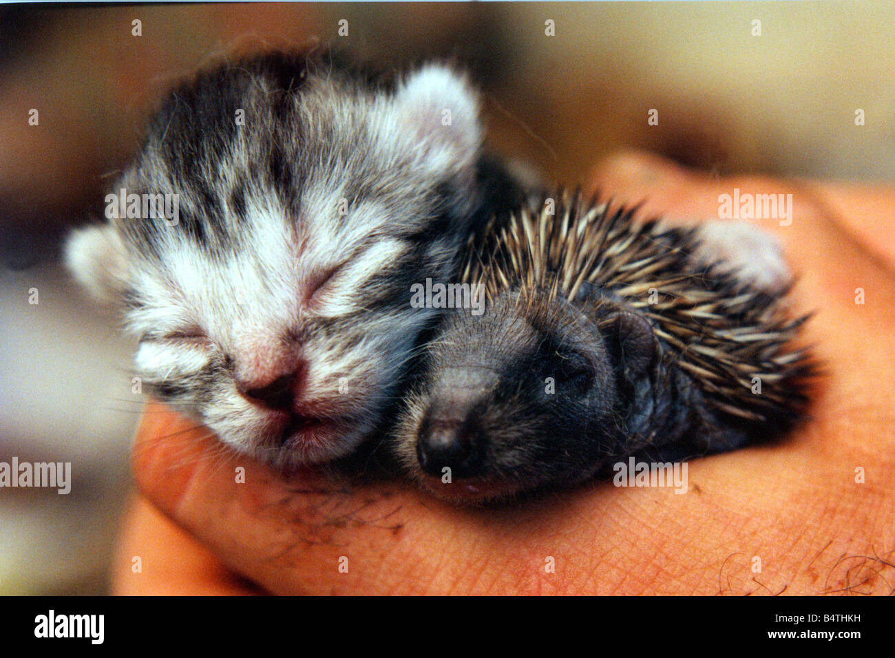 Being suckled hi-res stock photography and images - Alamy