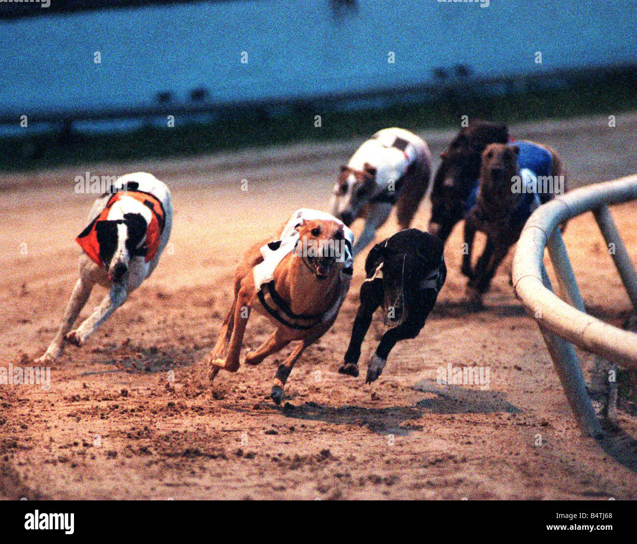 THE RUNNERS TAKE THE FIRST BEND IN THE FIRST SEMI FINAL OF THE REGAL ...