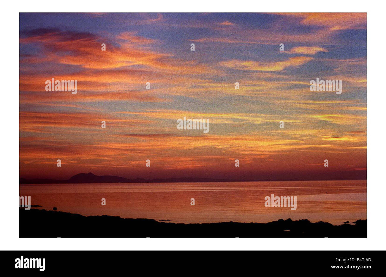 Since 1998 Cut Out Stock Images & Pictures - Alamy