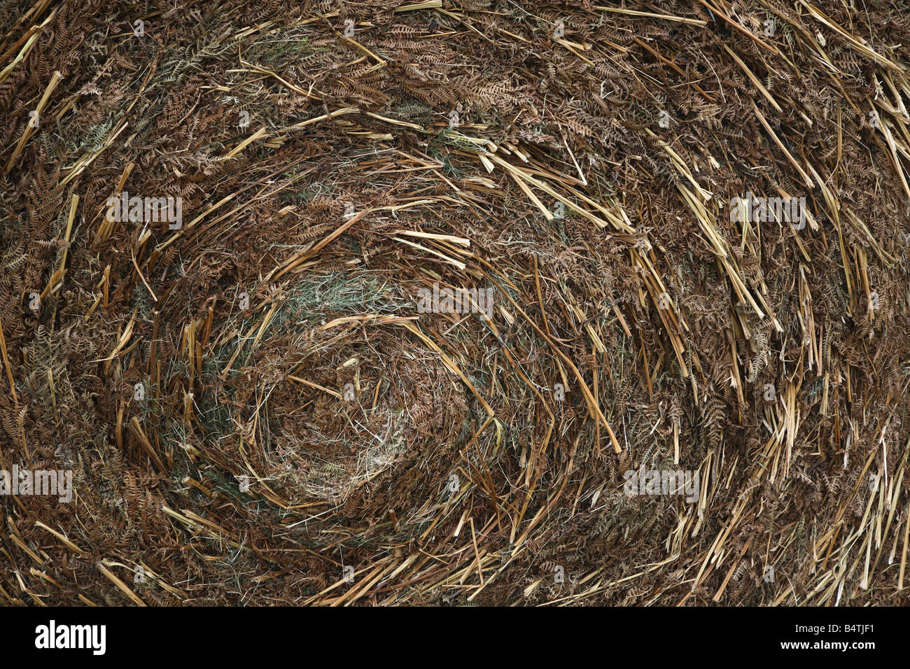 Braken Bale Brecon Beacons Wales UK Stock Photo - Alamy