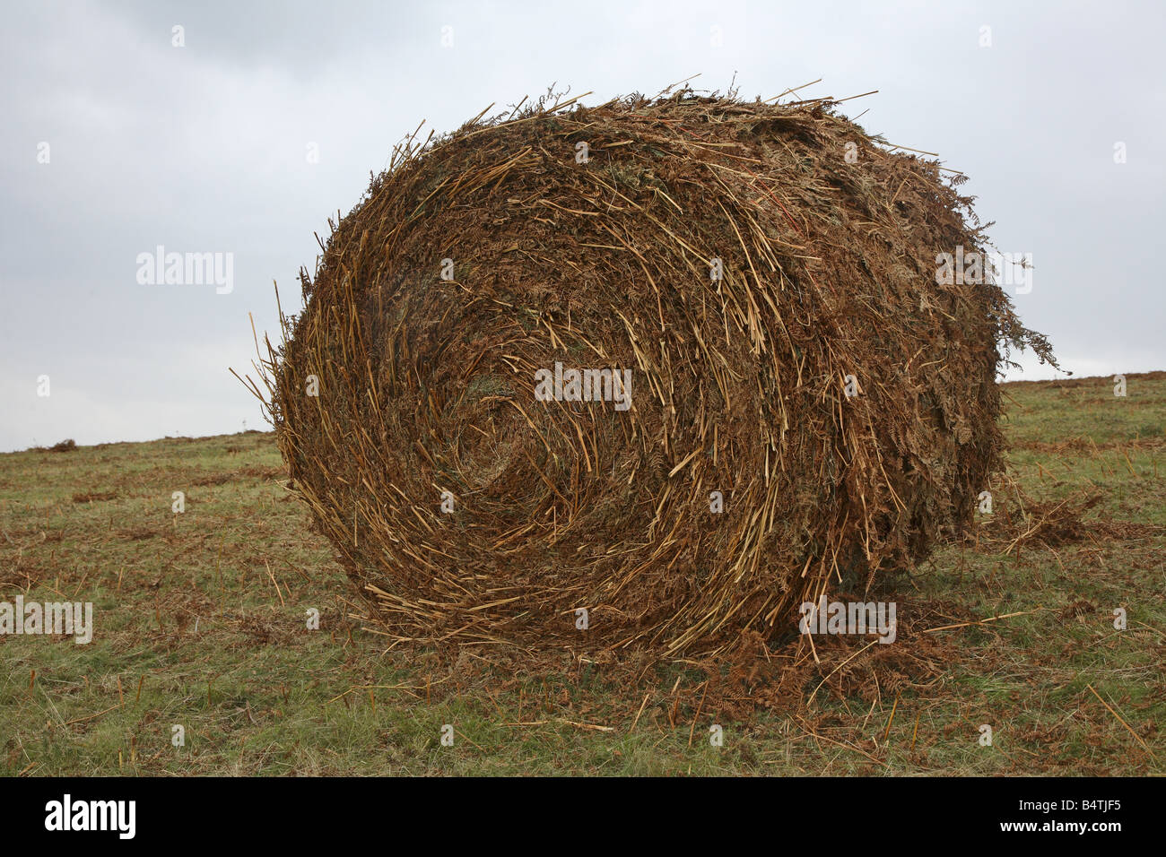 Braken Bale Brecon Beacons Wales UK Stock Photo - Alamy