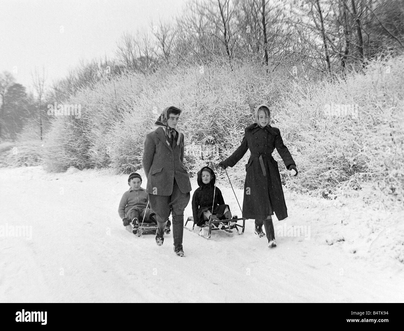 Children sledging in the snow in and around Hadley Wood Hertfordshire ...