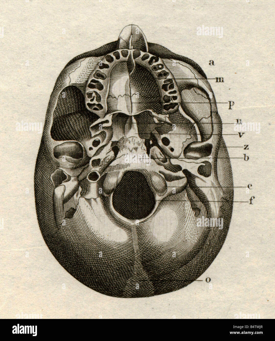 Historic steel engraving from the 19th century hi-res stock photography ...