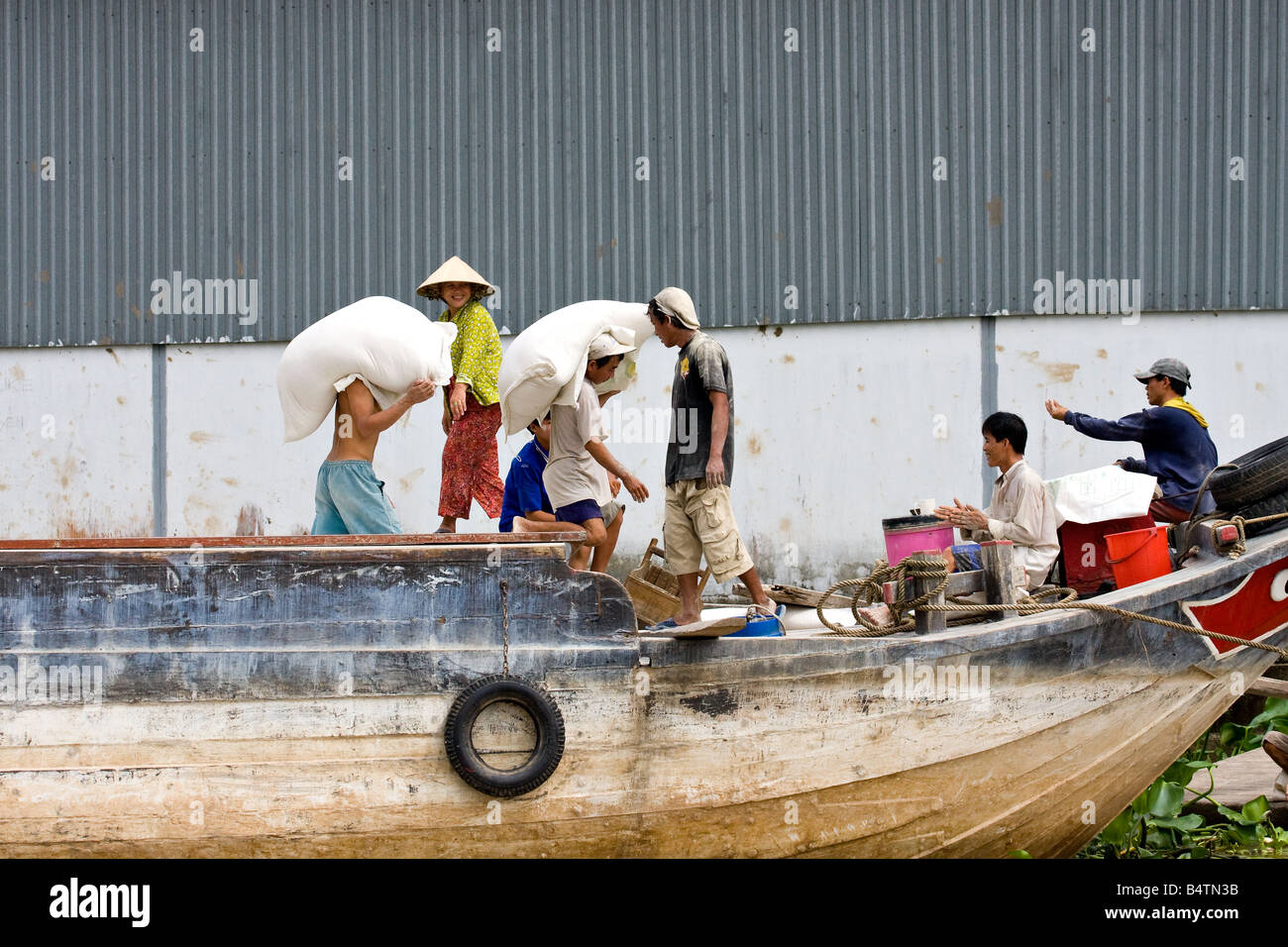 Transporting rice hi-res stock photography and images - Alamy
