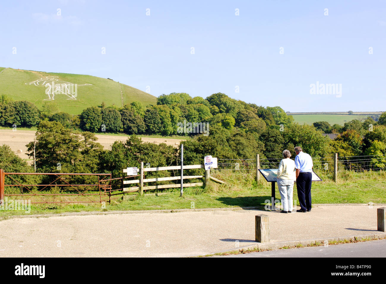 Visitors to the area of Cerne Abbas in Dorset view the pagan fertility ...