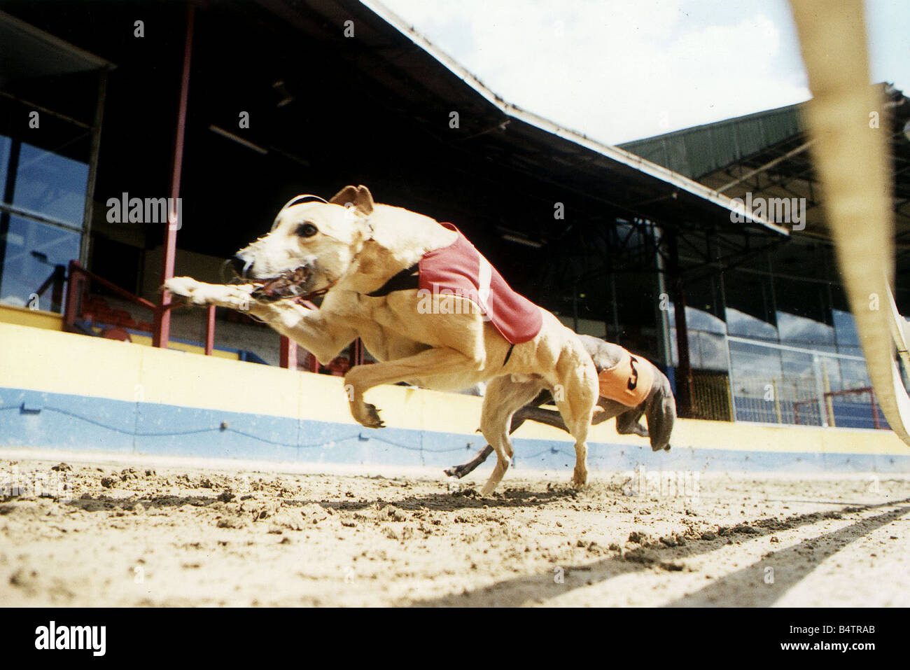 Start afresh hi-res stock photography and images - Alamy