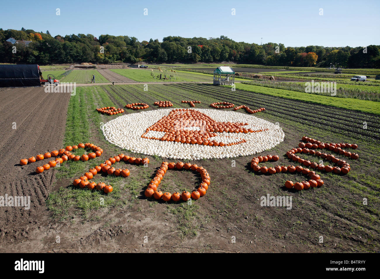 Display fields hi-res stock photography and images - Alamy