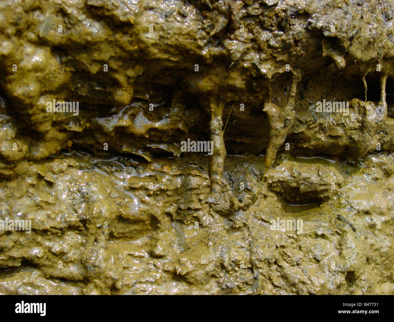 background texture of muddy clay Stock Photo - Alamy