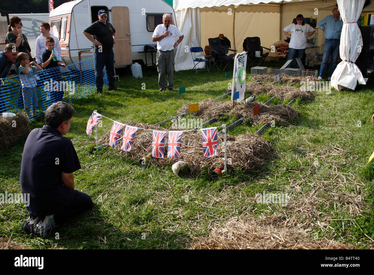ferret racing at the midlands game fair weston park shropshire england ...