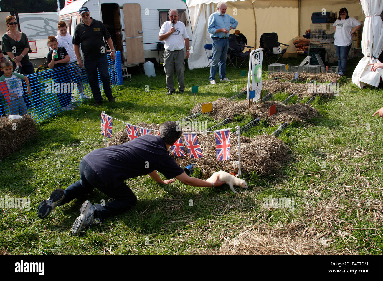 ferret racing at the midlands game fair weston park shropshire england ...