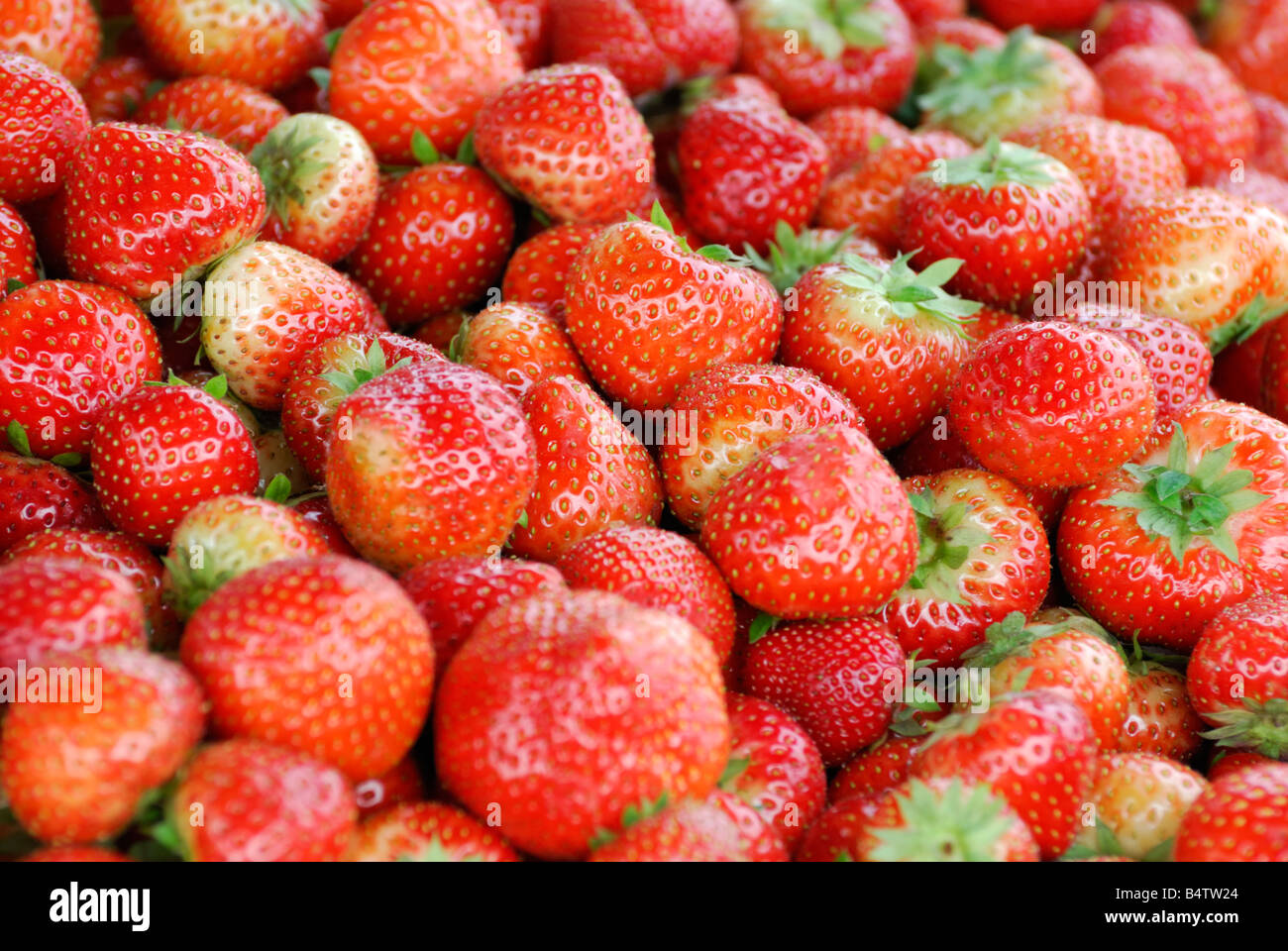 A fresh strawberry Stock Photo - Alamy