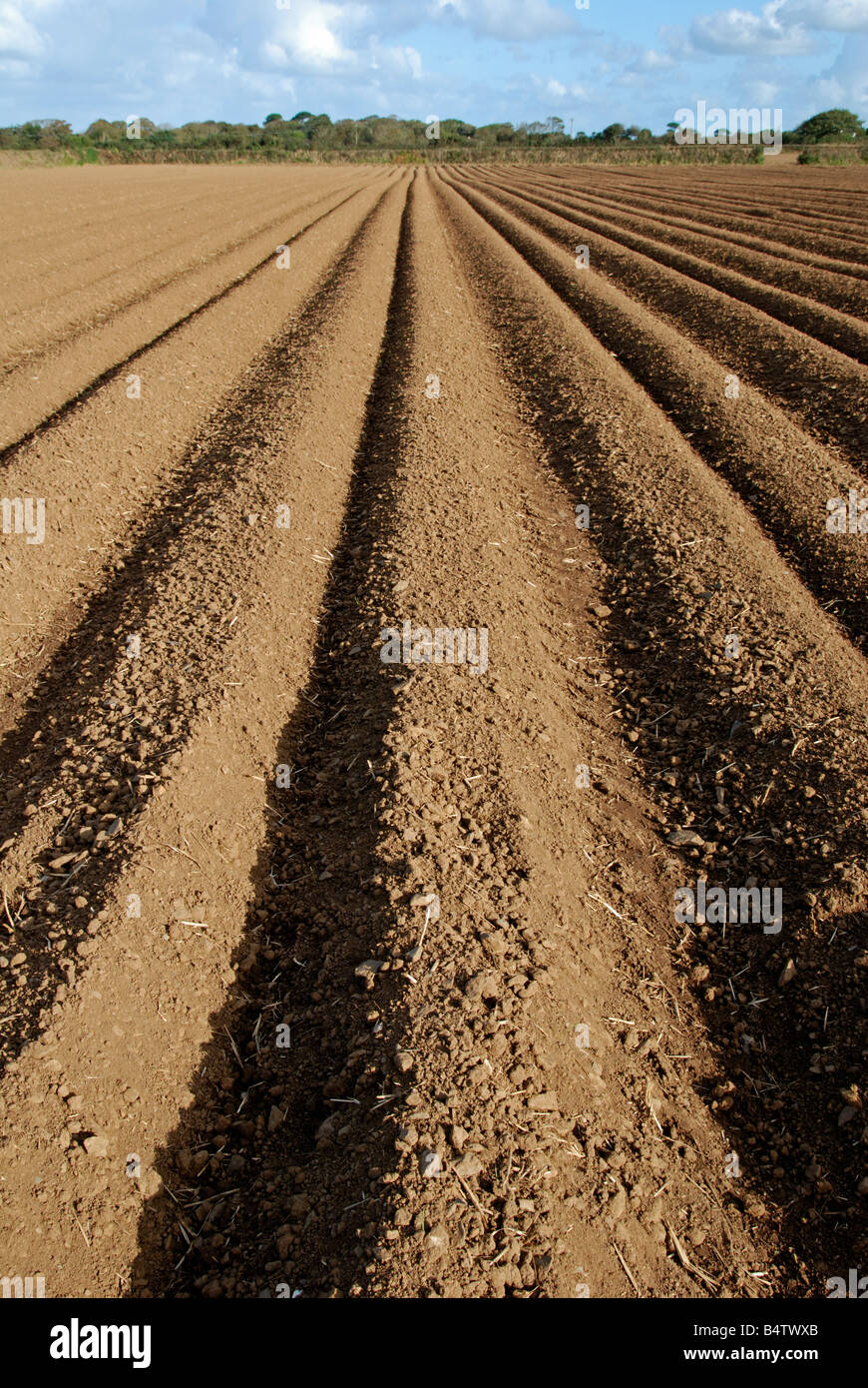 Ploughed fields farming hi-res stock photography and images - Alamy