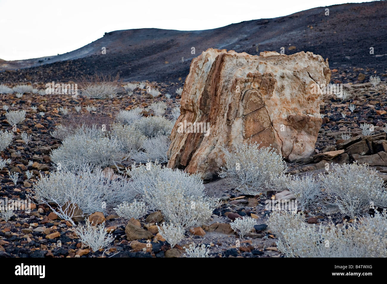 The Burnt Mountain landscape in Twyfelfontein Damaraland Namibia Stock ...