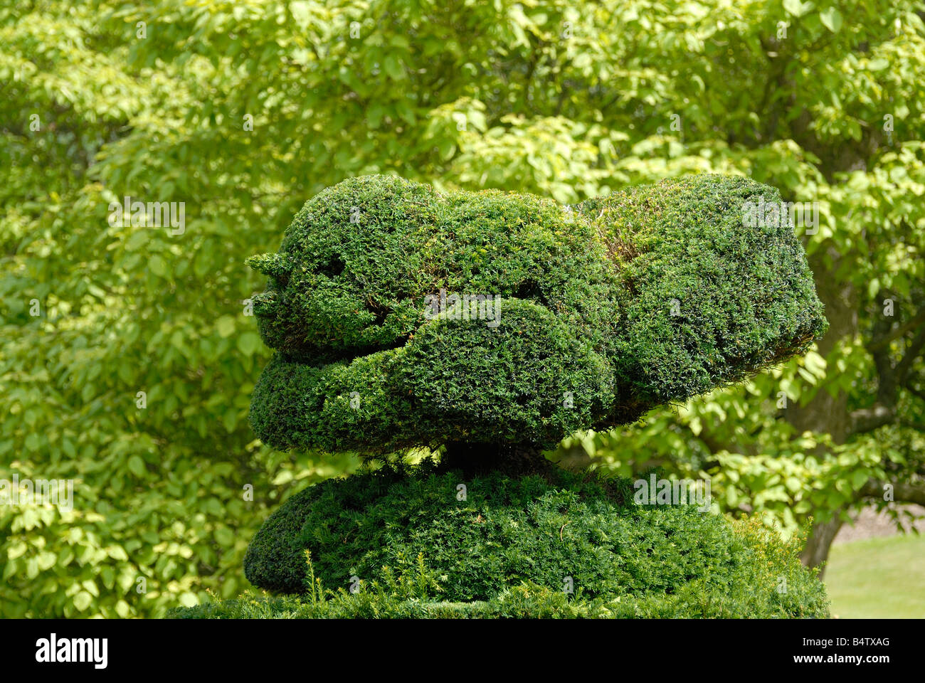 Yew topiary hi-res stock photography and images - Alamy