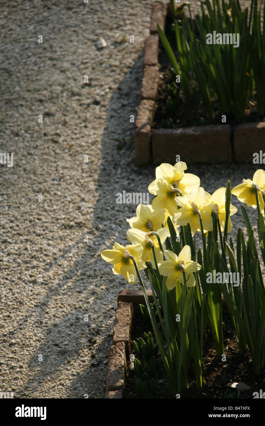 Small garden path symmetry hi-res stock photography and images - Alamy
