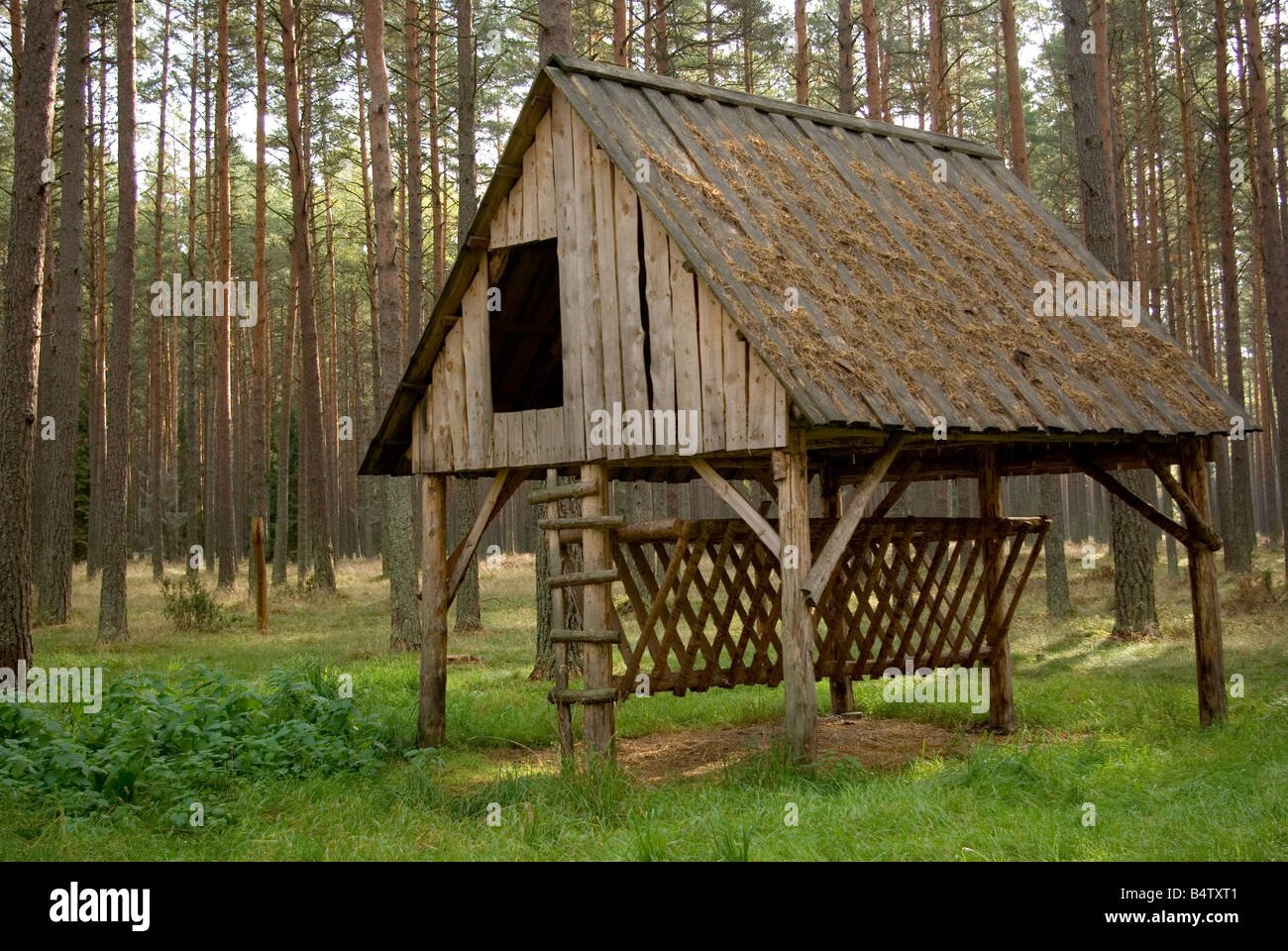 Animal house hi-res stock photography and images - Alamy