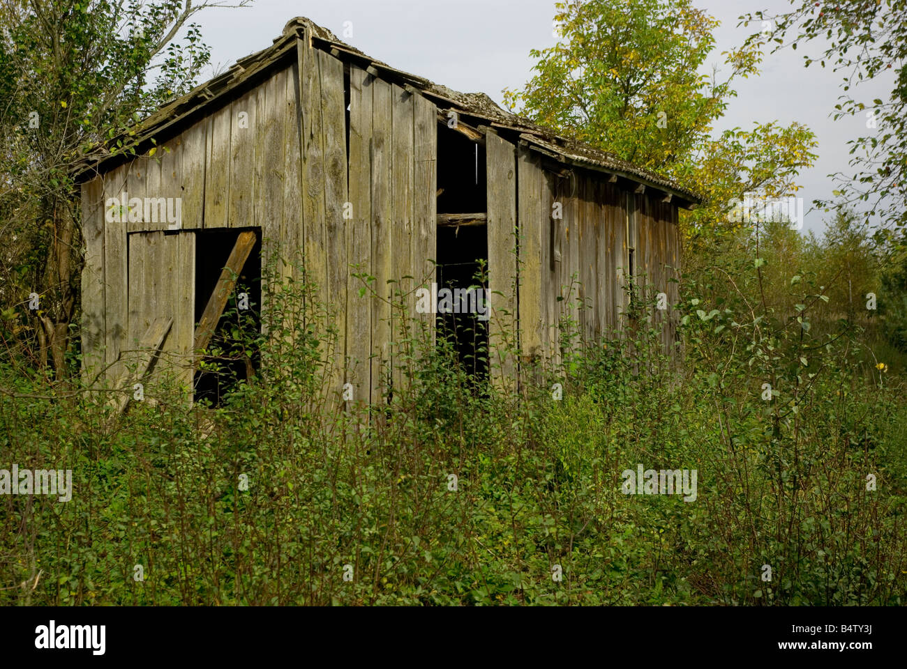 ruins of small wooden house Stock Photo - Alamy