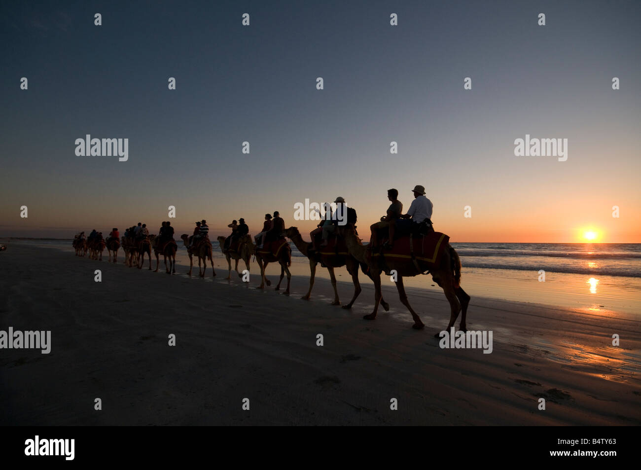 Tourists riding camels at sunset along Cable Beach in Broome Western ...