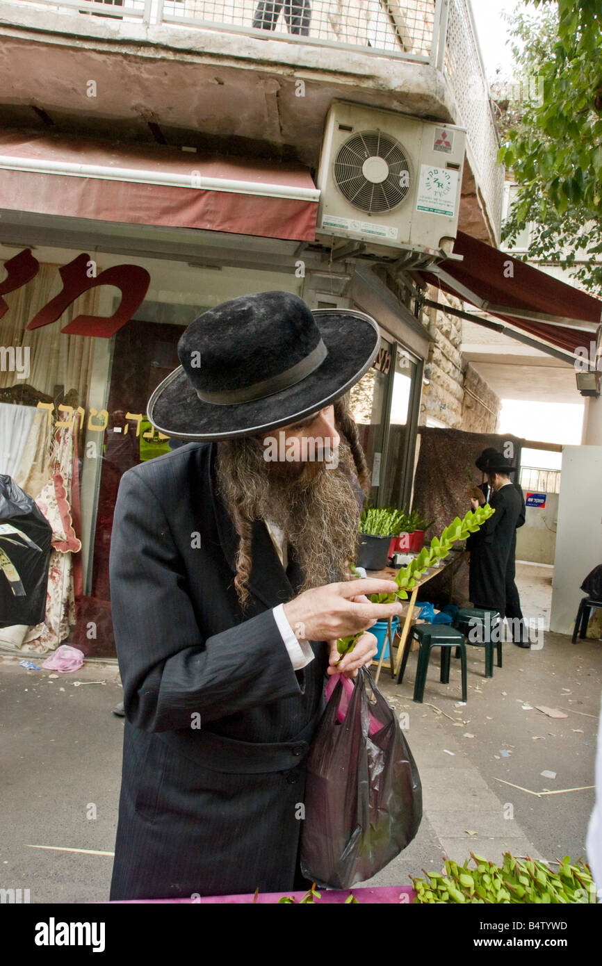 Jerusalem, Israel. An Ultra-Orthodox Jew ("Charedi") checks a myrtle ...