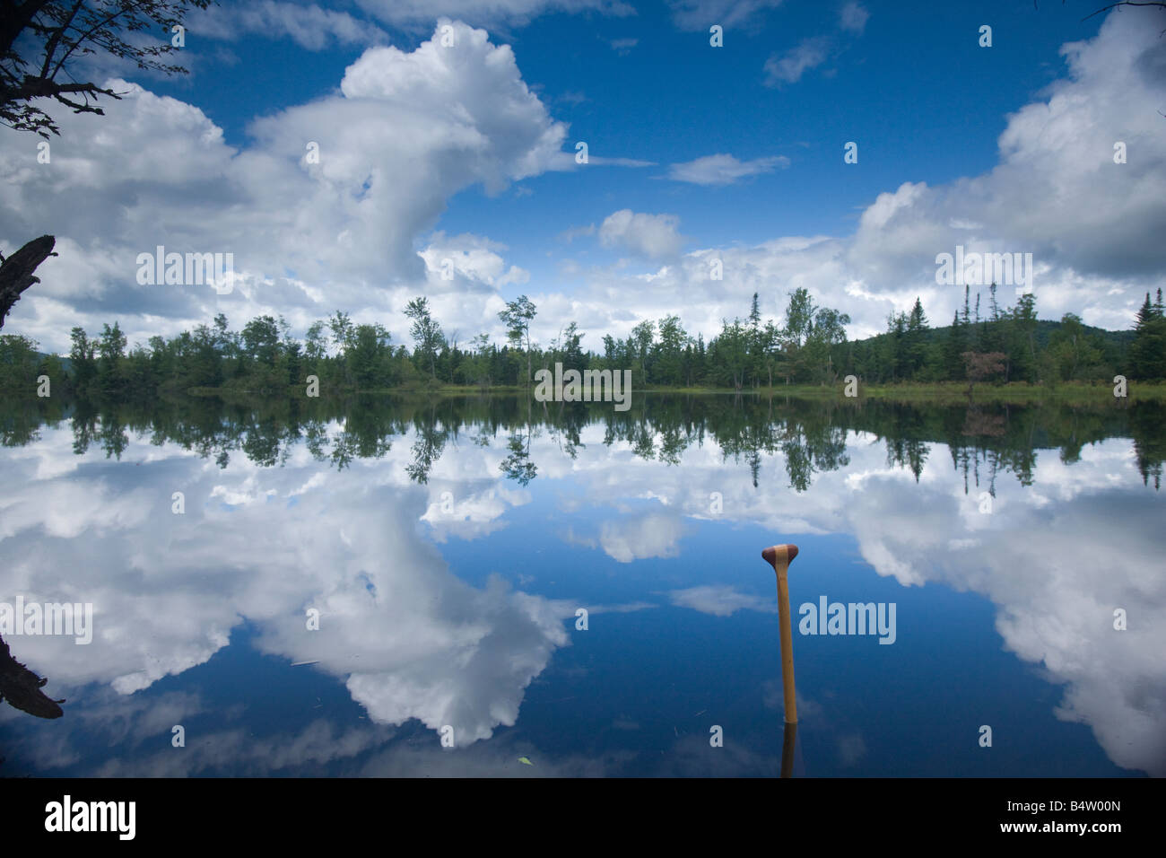 Oar in the water of a remote lake Stock Photo - Alamy
